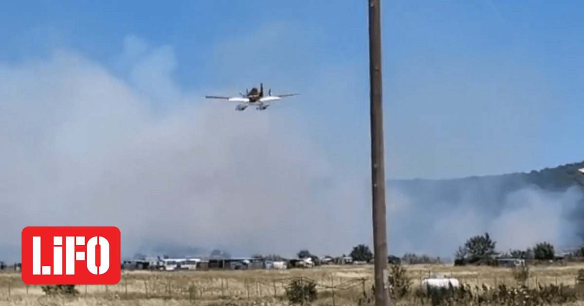 Φωτιά στον Έβρο - Εκκενώνονται προληπτικά τα Παιδικά Χωριά SOS | LiFO